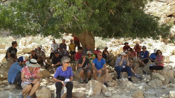 Home - Holyland tours with E.D.I Travel - a life-changing experience